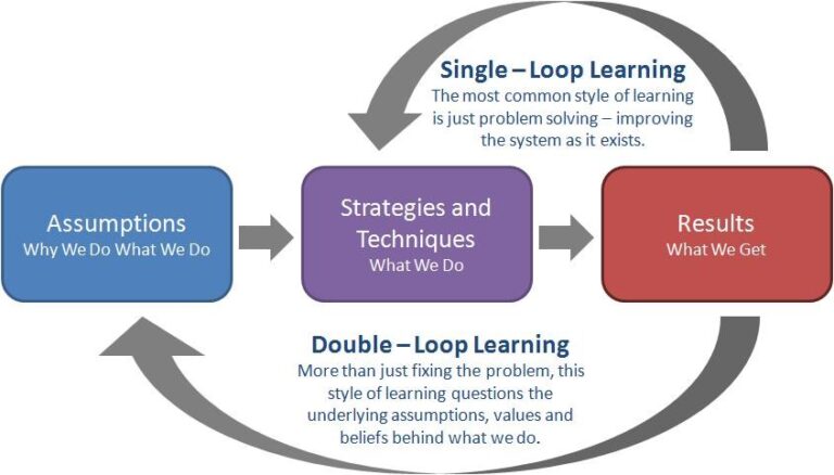 Double Loop Learning: Why Everyone Should Use It to Succeed